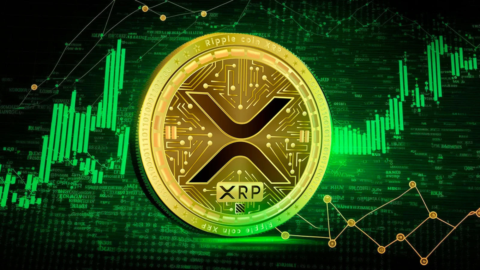 How did the XRP transaction volume reach a six-month high? - Watty World